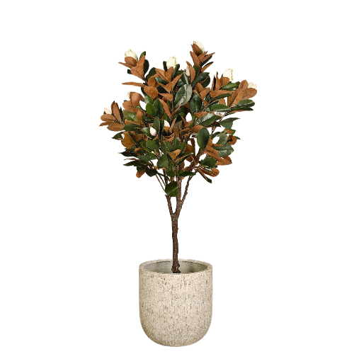 Artificial Magnolia Tree 200cm – Luxury Casa – Home of premium décor